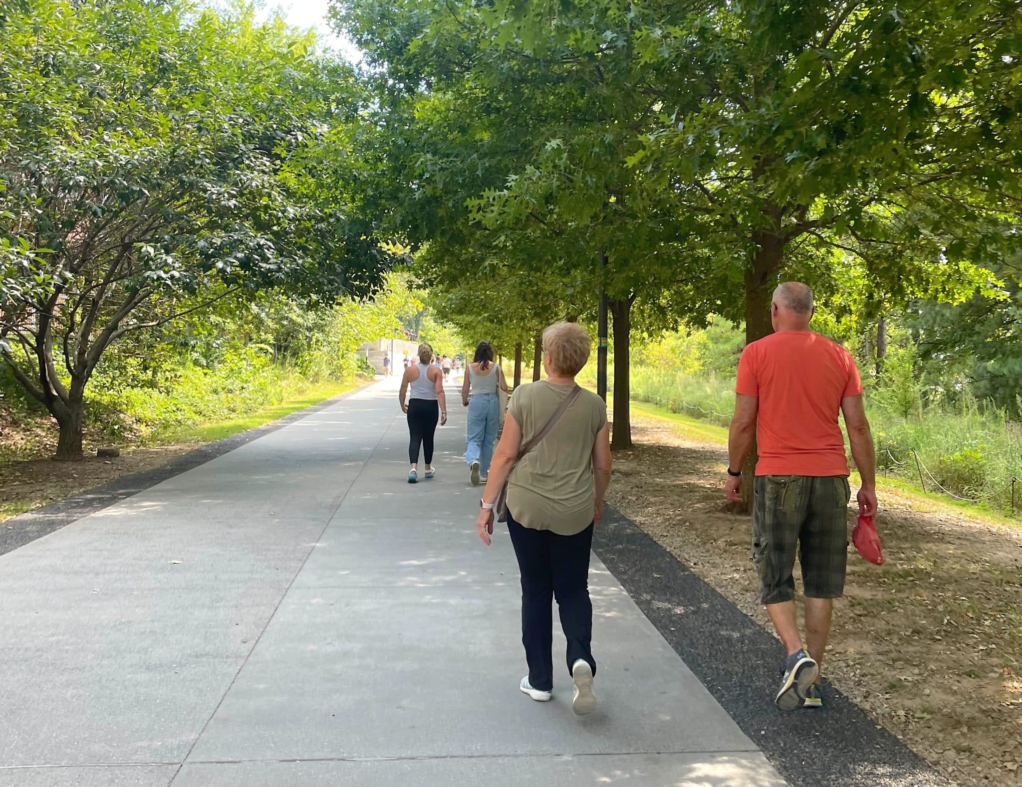 A Day to Start Walking to Health | Fitting Fitness In